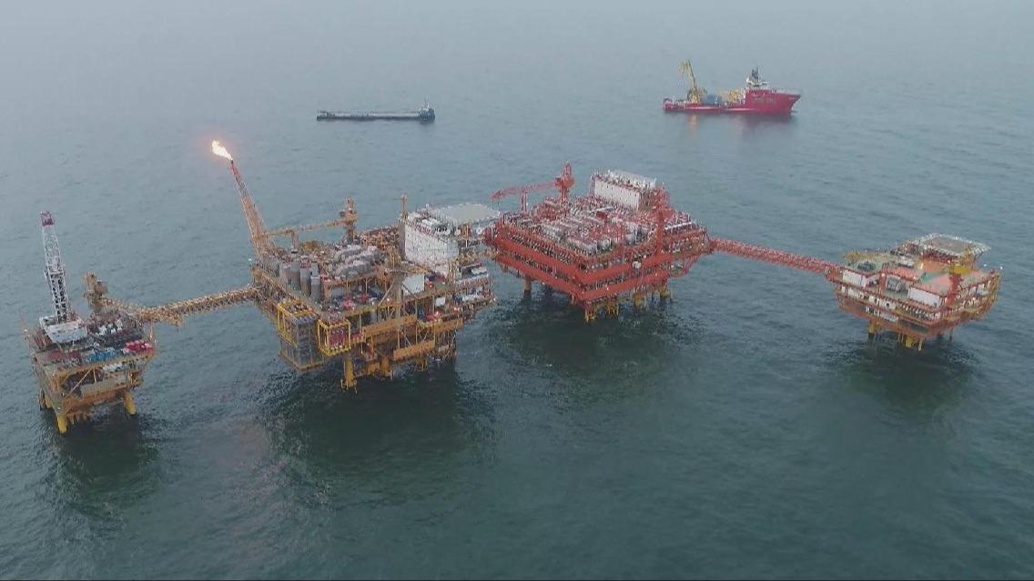 VIDEO - CCTV.com English